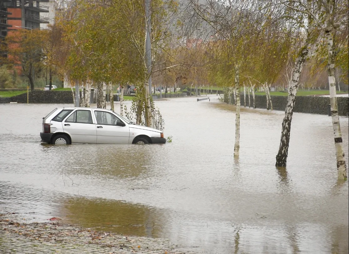 Câmara de Coimbra pede retirada urgente de viaturas do Parque Verde